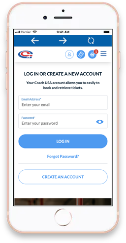 Ticket Order Success Page